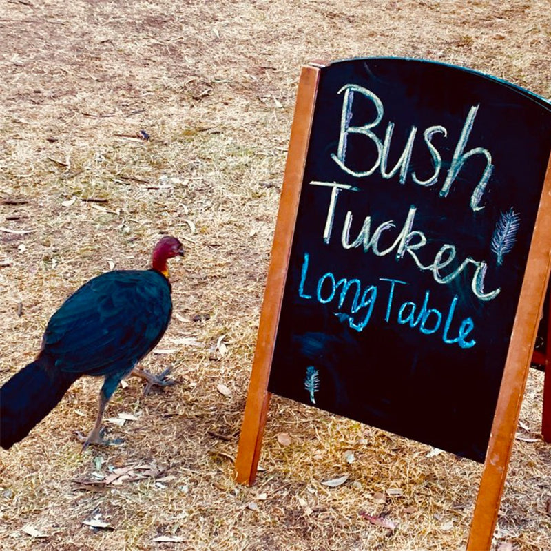 Our Story - My Dilly Bag